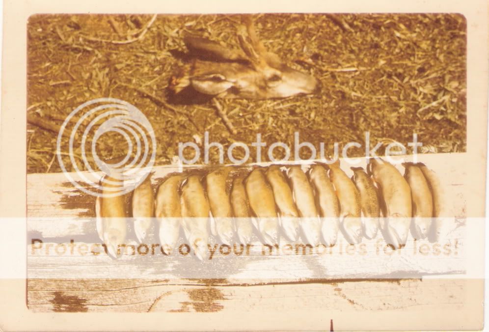 Old hunting pics. Add yours. - 24hourcampfire