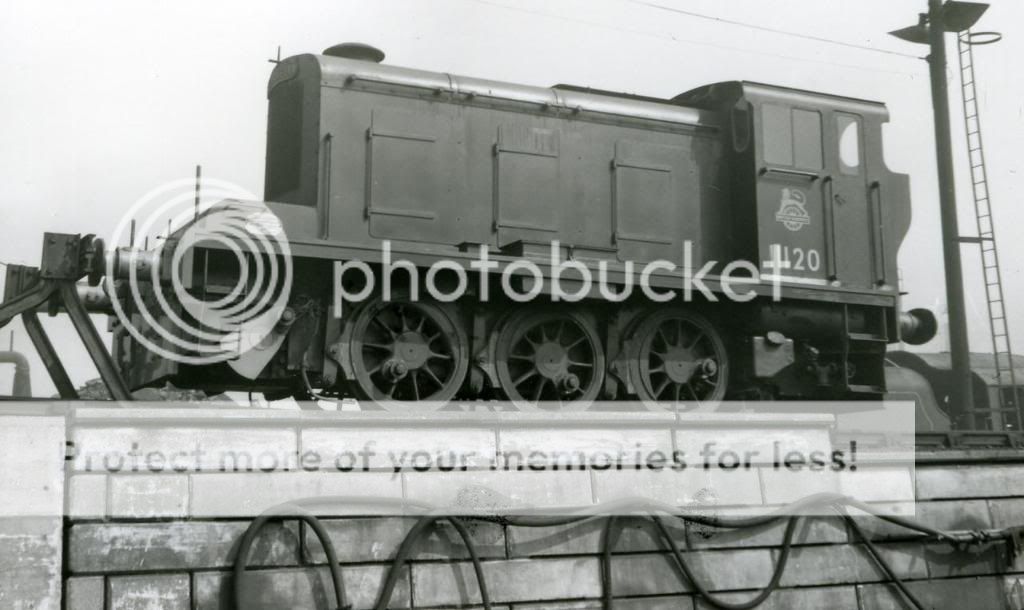 White stripe under Diesel shunter numbers - UK Prototype Questions - RMweb