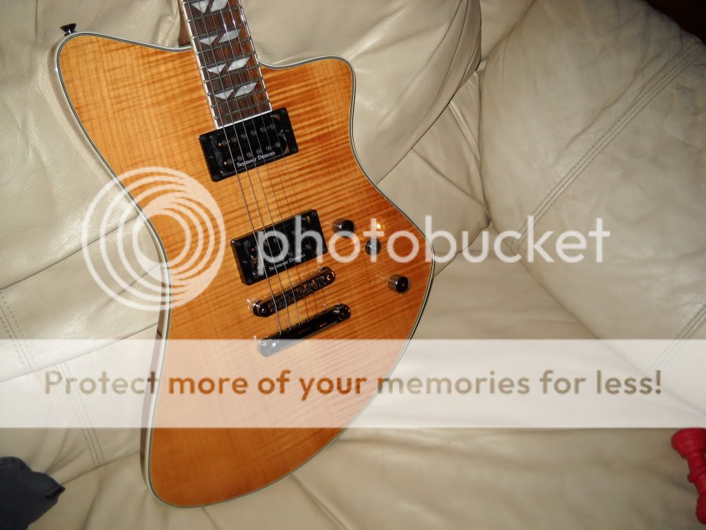 Fernandes Vertigo Deluxe with OHSC FS/FT (not the cheap, $129 one, LOOK ...