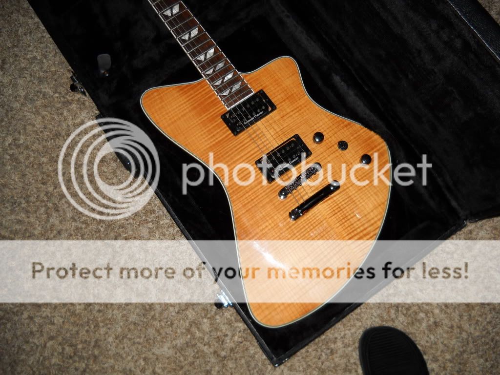 Fernandes Vertigo Deluxe with OHSC FS/FT (not the cheap, $129 one, LOOK ...